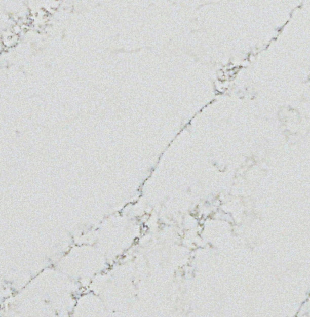 Alleanza Quartz | Cape Cod Quartz Countertops